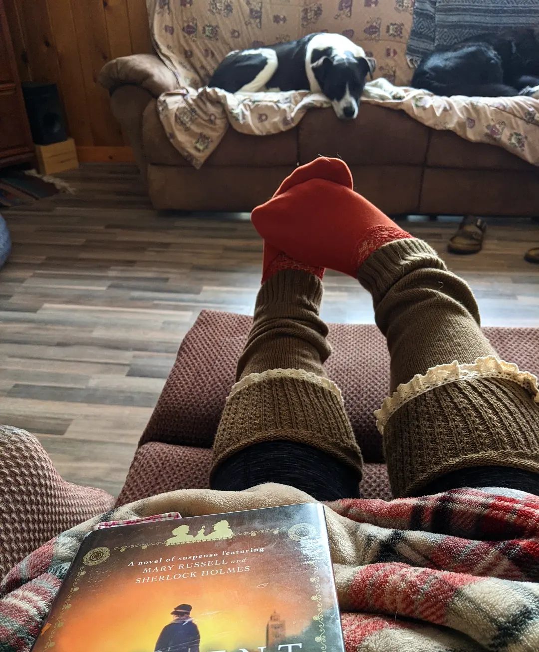 Let’s talk about homes. – Stephanie Stevens, writer at large